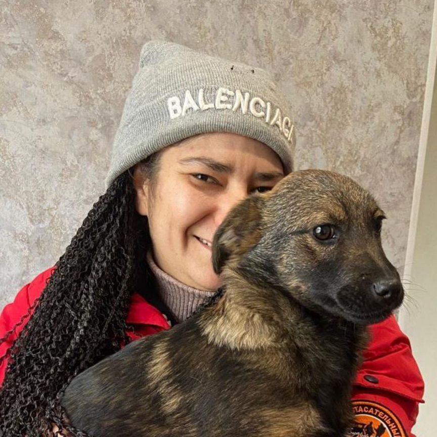 Щенок для дома и души