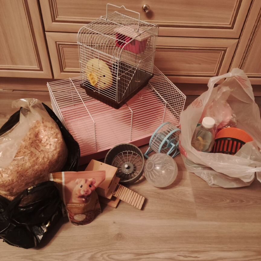 Все для хомяка джунгарика