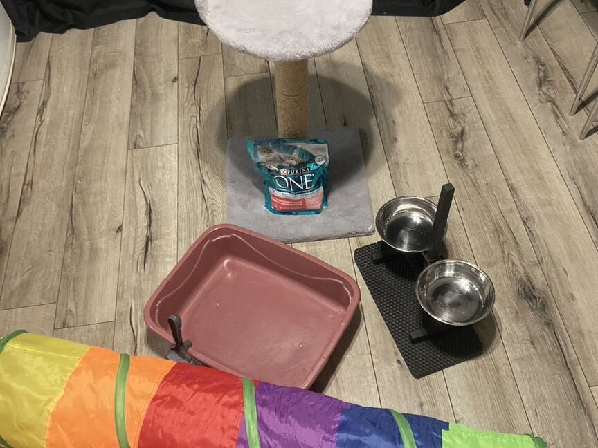 Товары для кошек