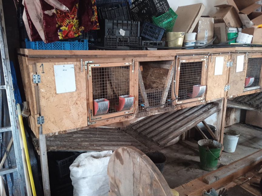 Клетка кроличья