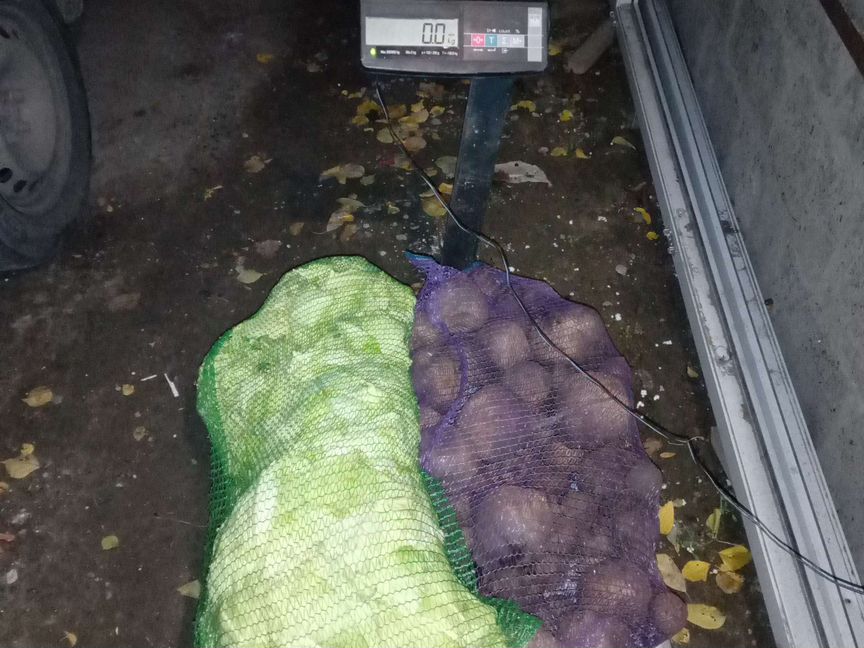 Листья капусты, свекла, капуста другие овощи