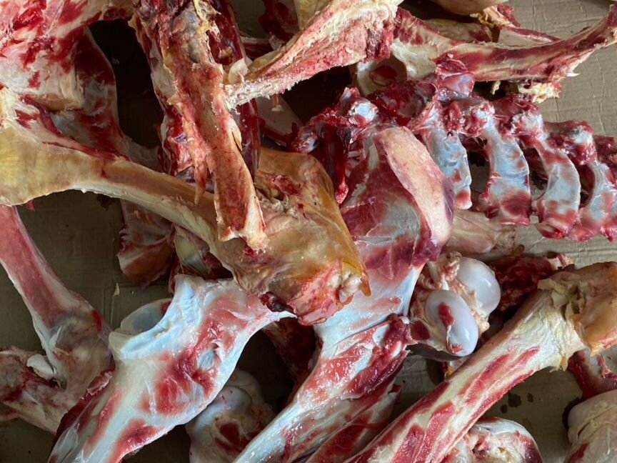 Кости говядина для собак