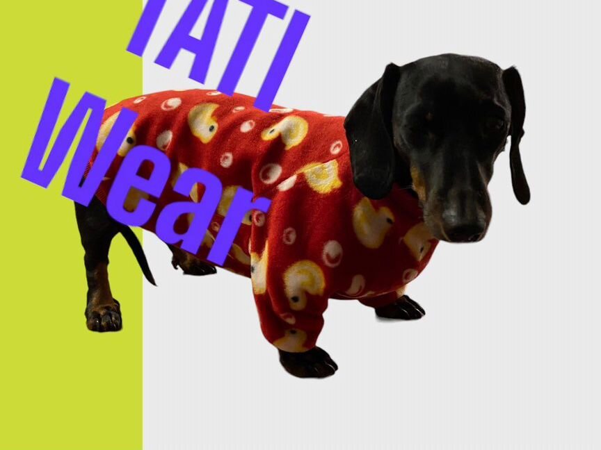 Одежда для средних собак