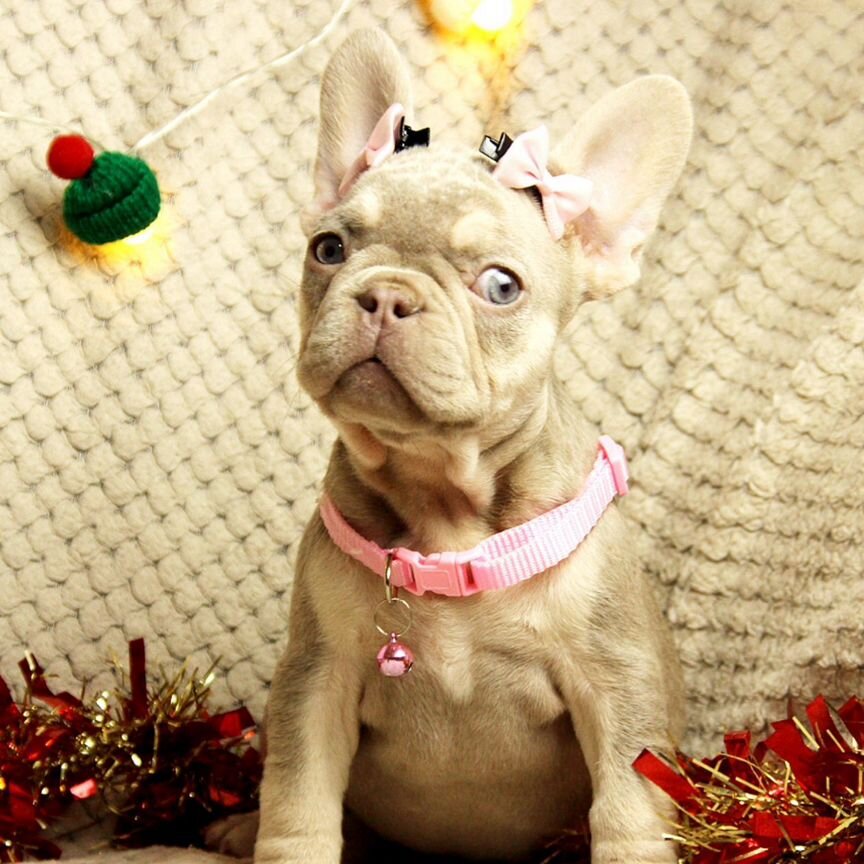 Кукольная девчушка