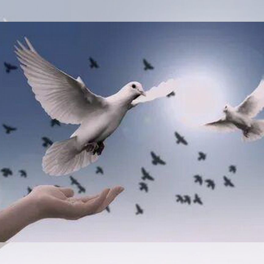 Голуби на благовещенье