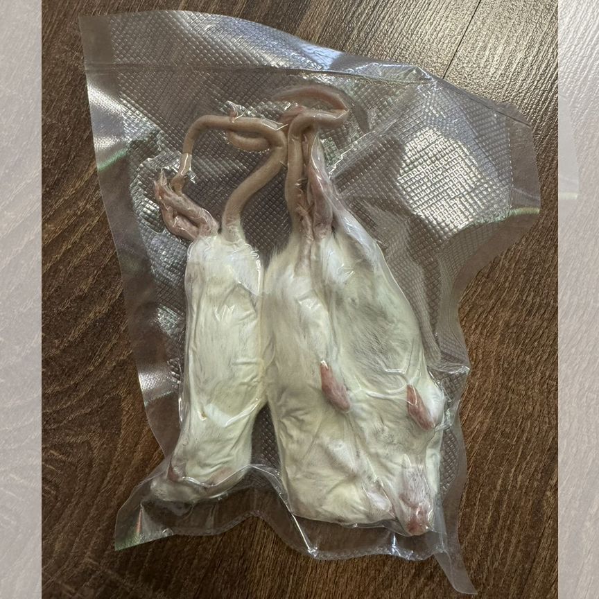 Кормовые крысы замороженные