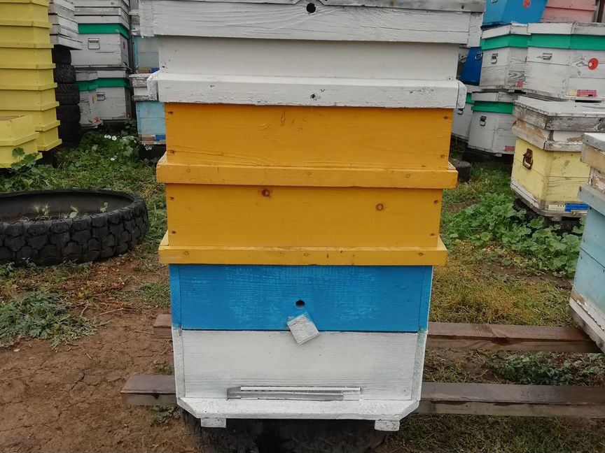 Улей для пчел