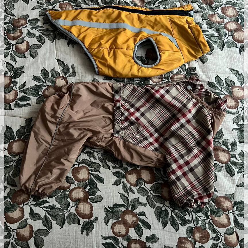 Одежда для средних собак