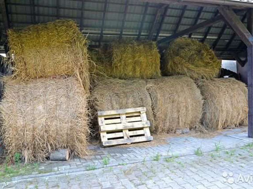 Сено в кипах.Опил.Обмен на металлический гараж