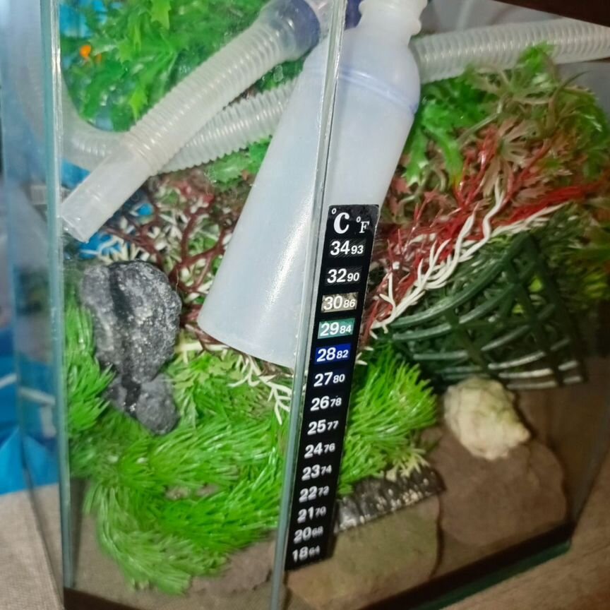 Панорамный аквариум   10-12 рыбок