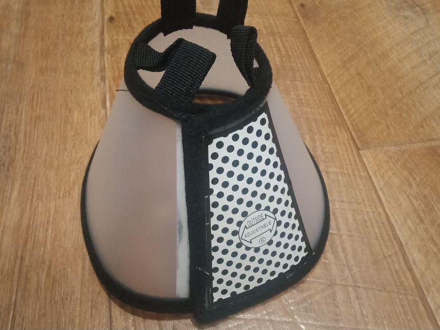 Конусный ошейник для животных