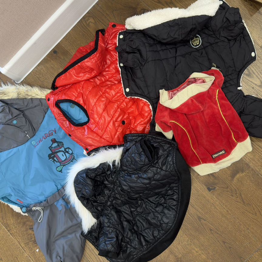 Одежда для собаки пакетом ML-L (для мальчика)