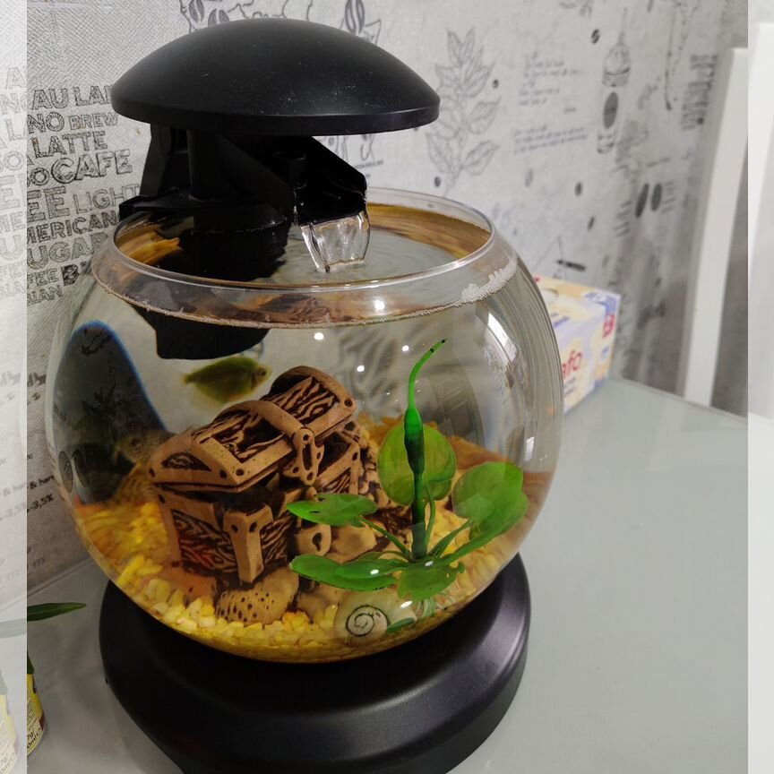 Аквариум круглый(6,8 л)