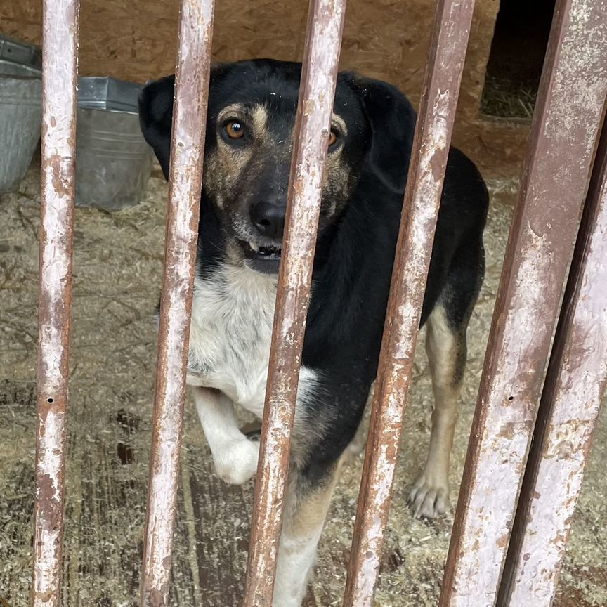 Я инвалид, живу в приюте