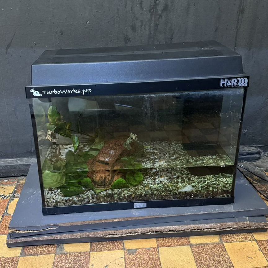 Аквариум juwel 60л