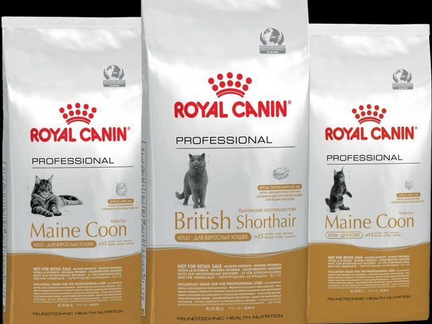 Корм для кошек роял канин
