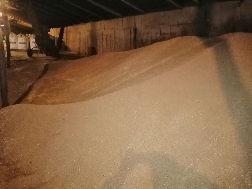 Пшеница, отходы гороха с бесплатной доставкой