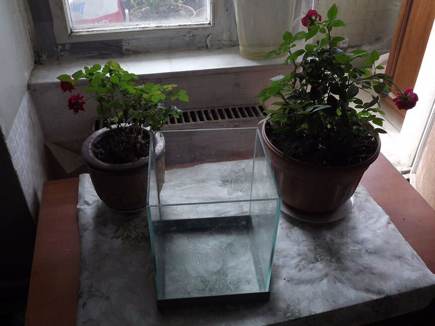 Аквариум 8 литров