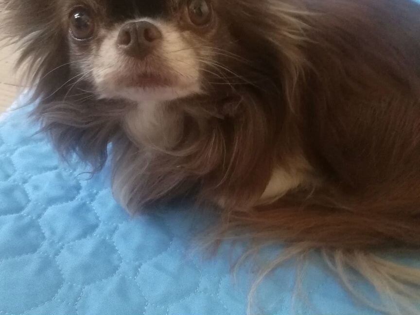 Очаровательный мальчишка