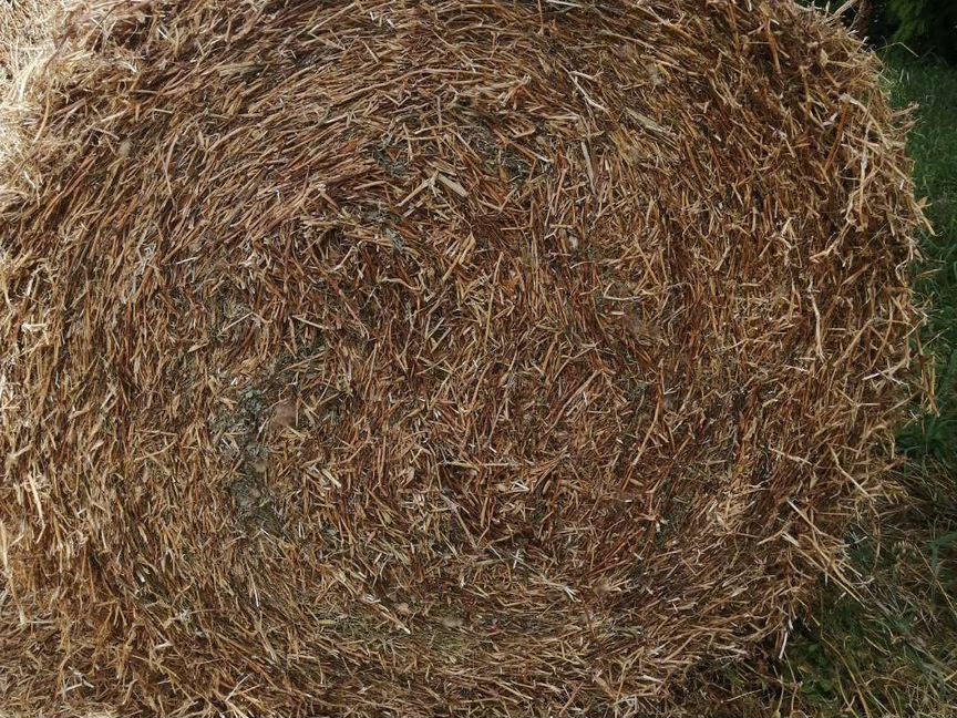 Солома в рулонах