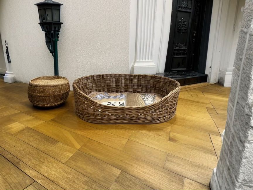 Лежанка 60 Х 40 h 15 см