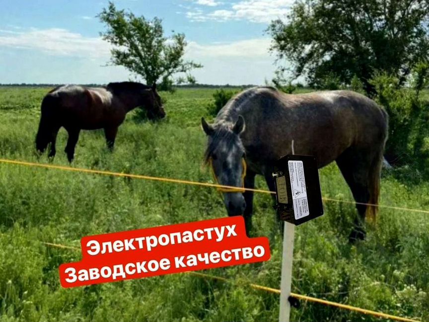 Электропастух для лошадей