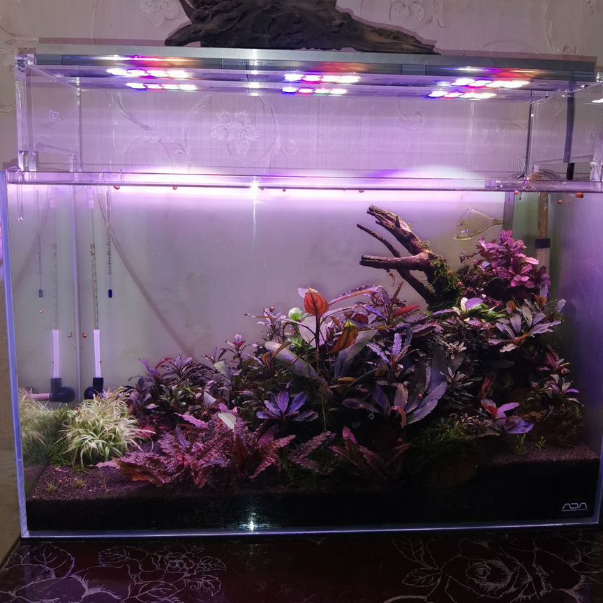 Аквариум ADA