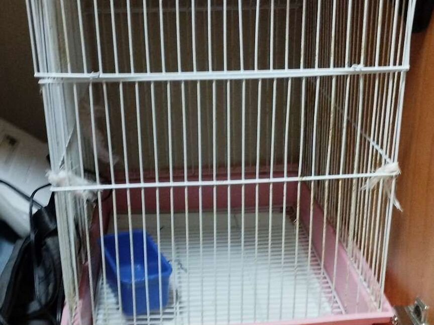 2 клетки и корма для крыс