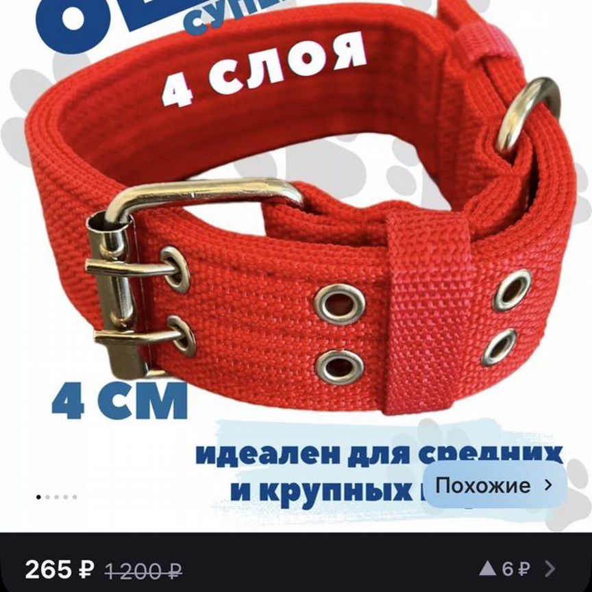 Ошейник