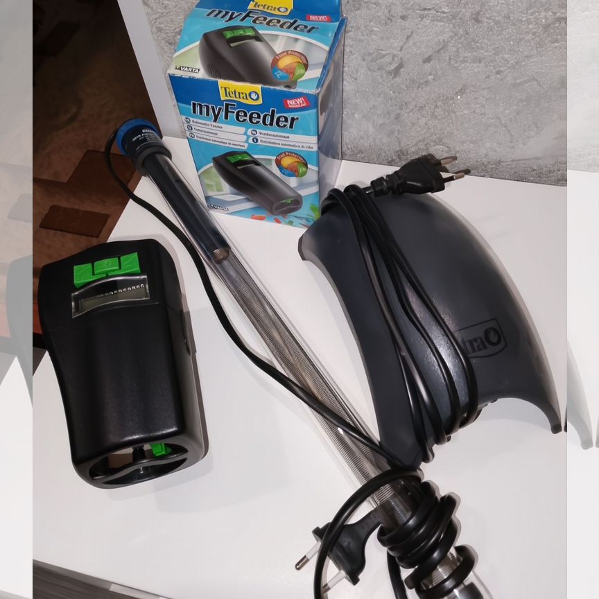 Аквариумистика