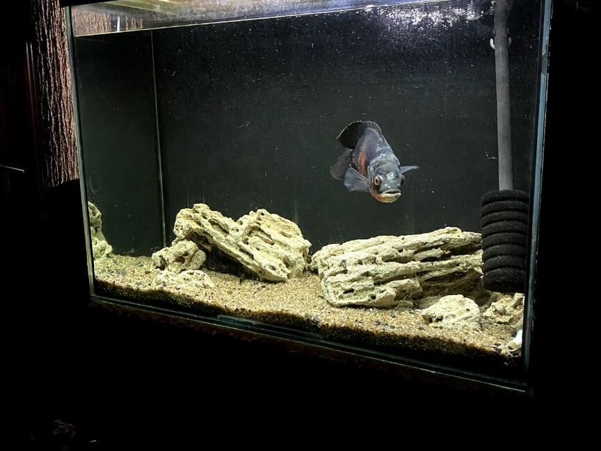 Аквариум на 250 литров с тумбой