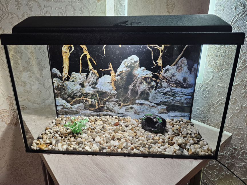 Аквариум 55 литров
