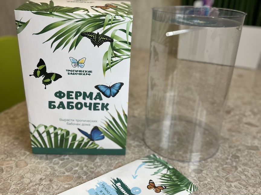 Бабочкарий