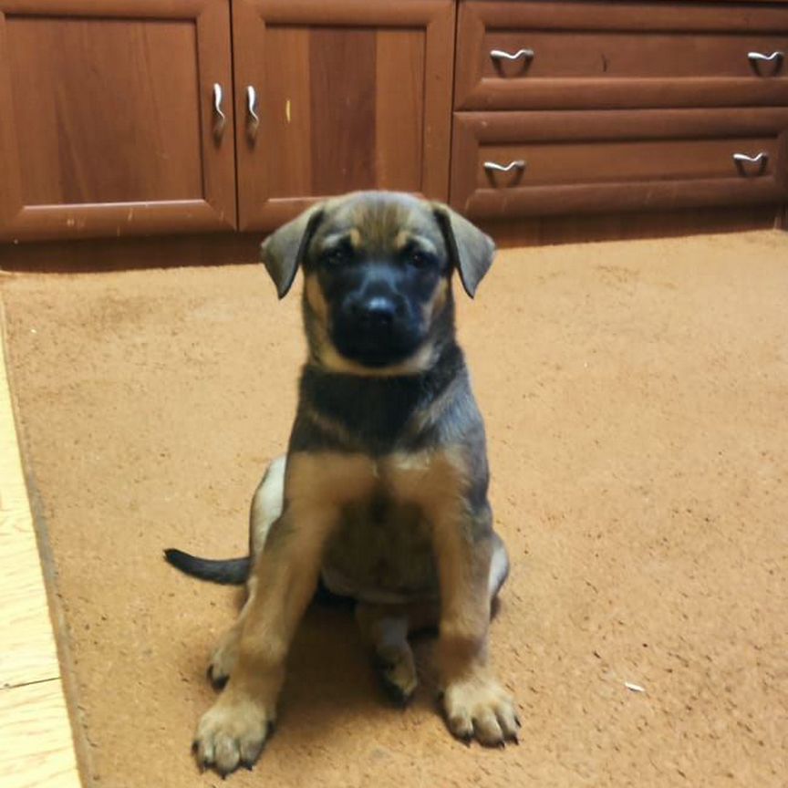 Мальчик и девочка