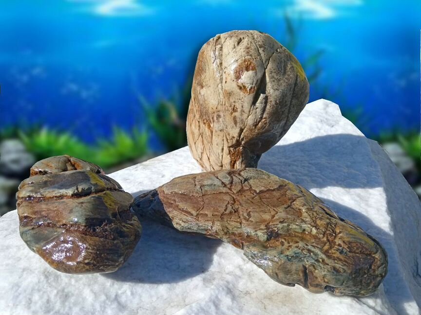 Камень фактурный для аквариума.набор для декора