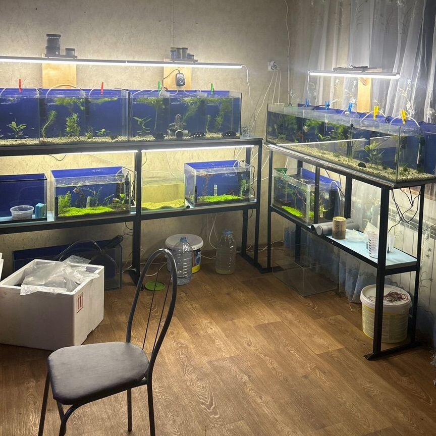 Аквариум с рыбками