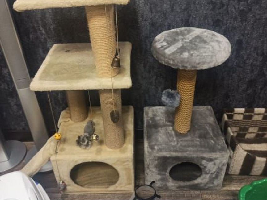 Домик для кошки с когтеточкой новый