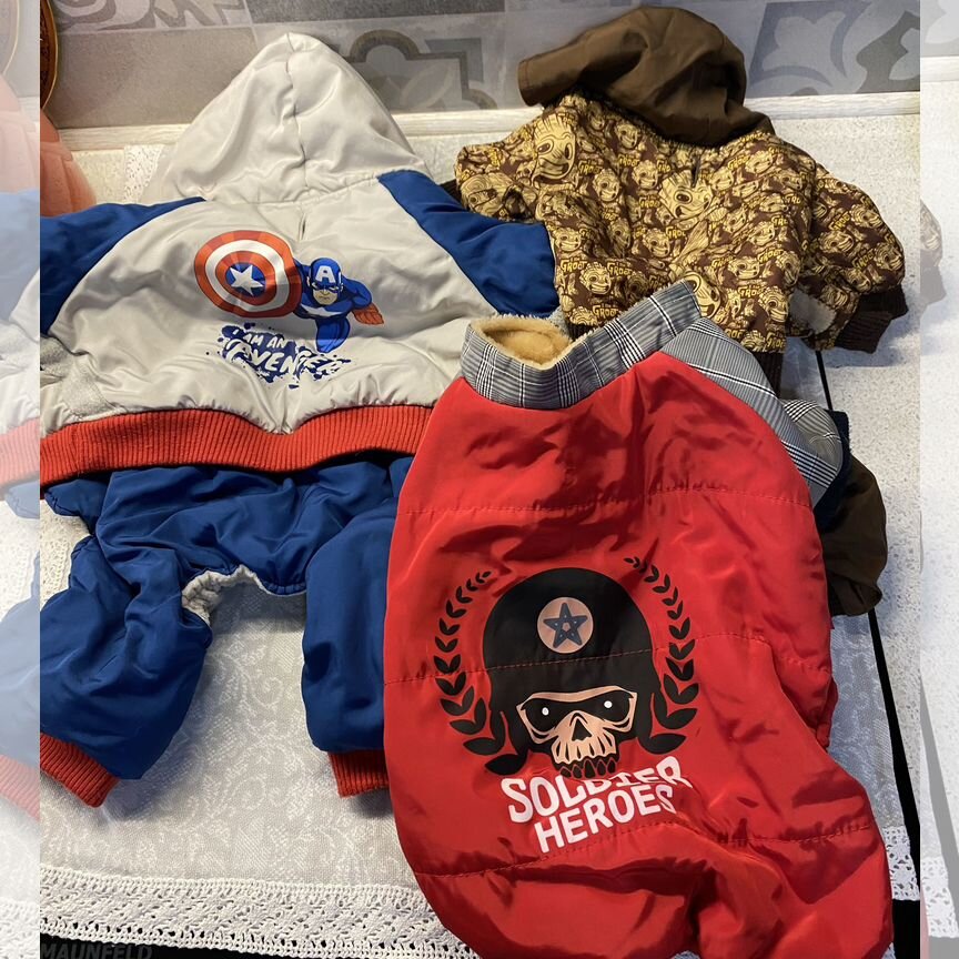 Одежда для собак мелких пород мальчик