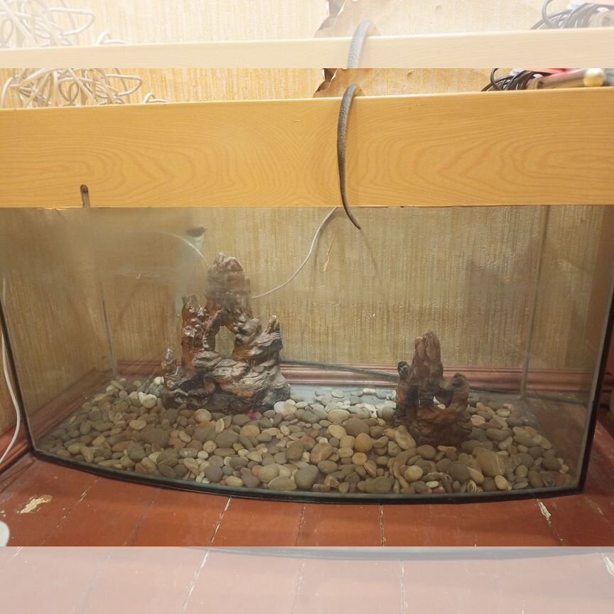 Аквариум 1000 литров