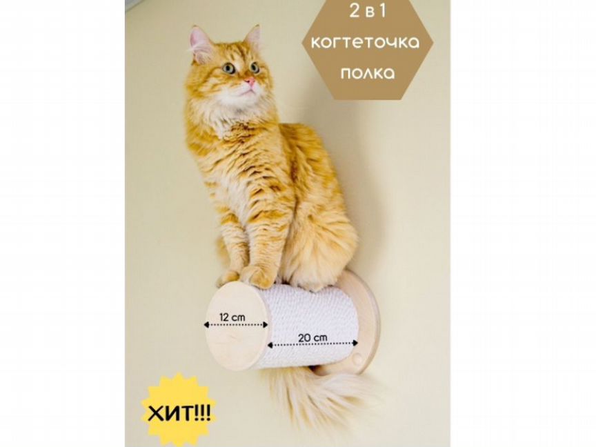 Когтеточка 2 в 1