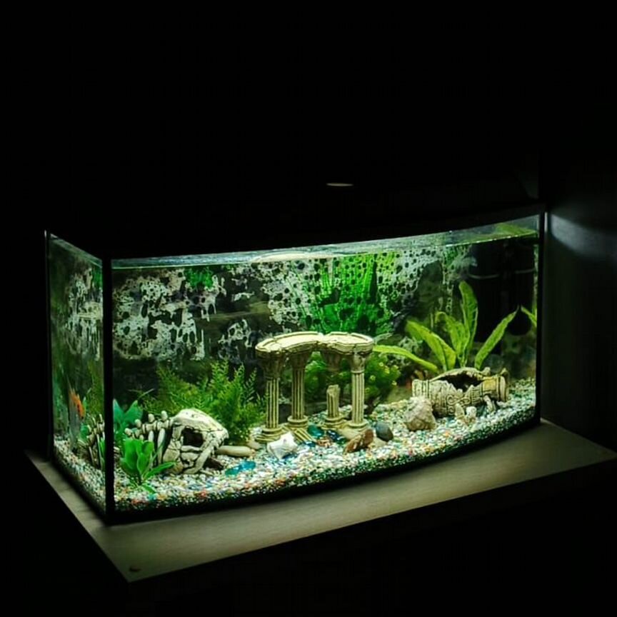 Аквариум с рыбками