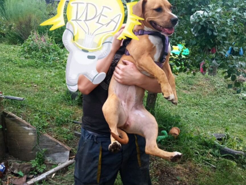 Стаффик 6 месяцев