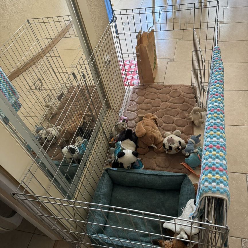 Вольер для собак в квартиру бу