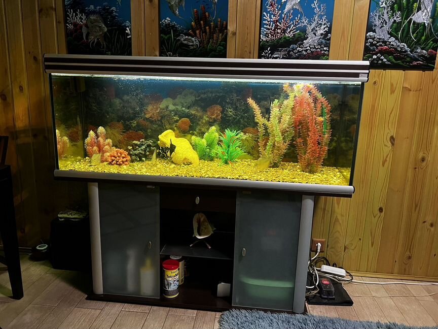 Аквариум aquatlantis 500 с оборудованием eheim