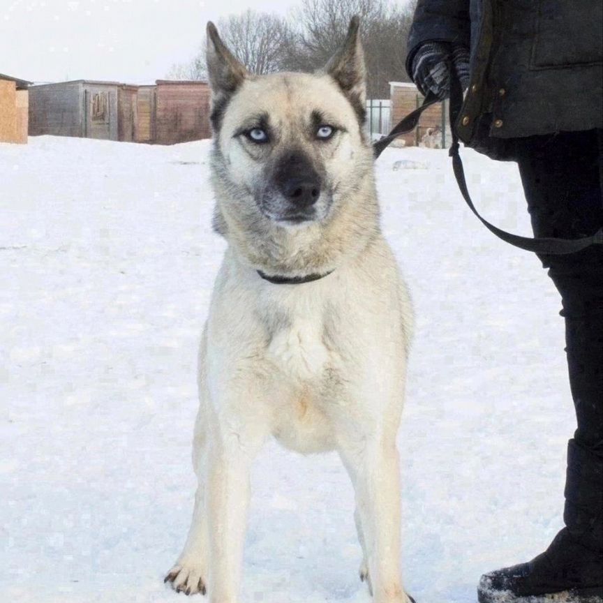 Варвара ищет любящую семью