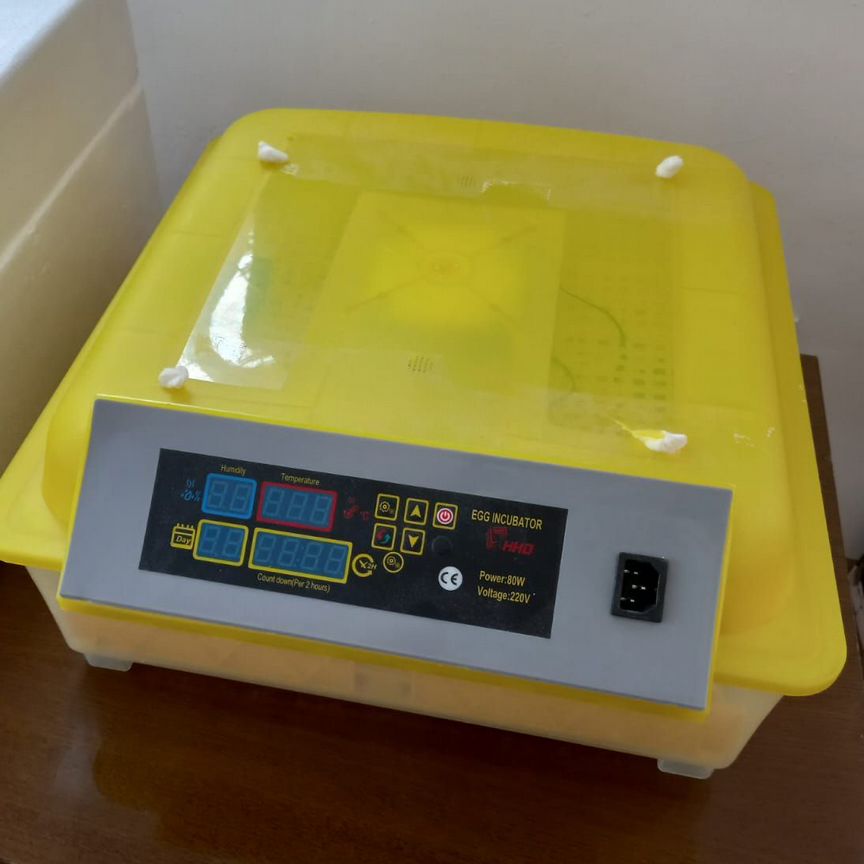 Инкубатор для яиц автоматический, брудер