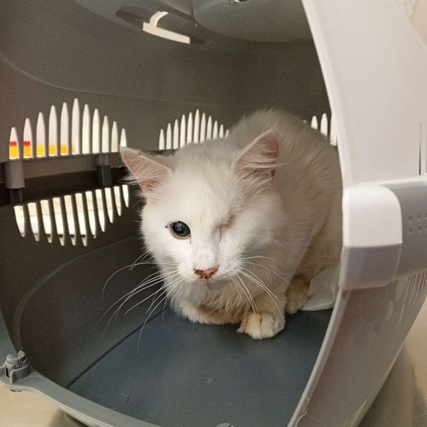 Очень необходим дом