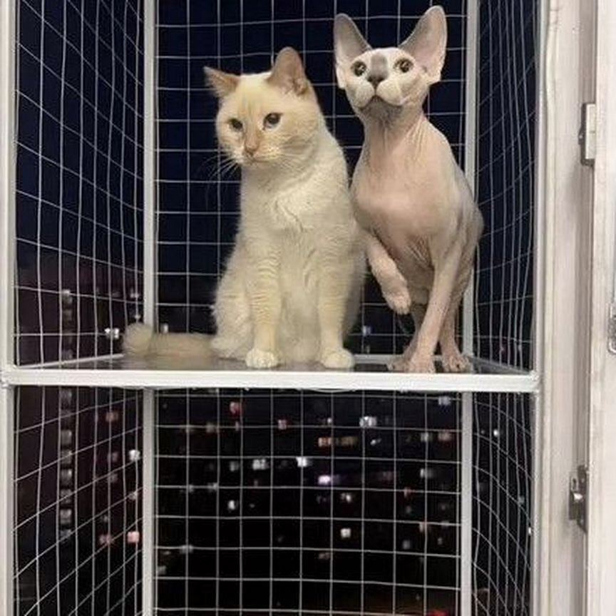 Балкончик для кошки