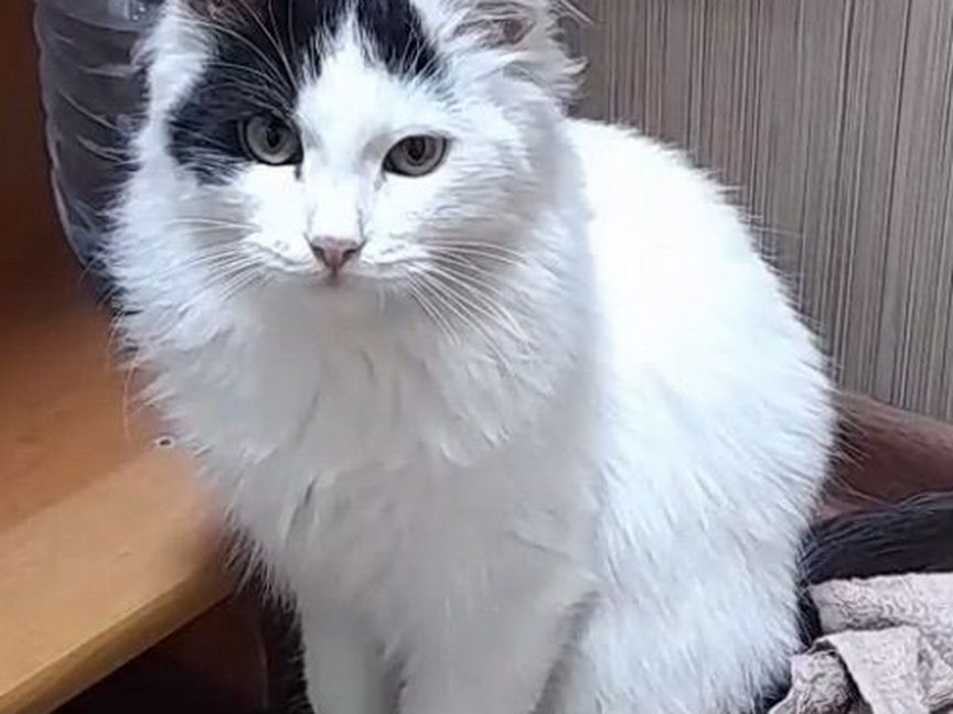 Спасем вместе