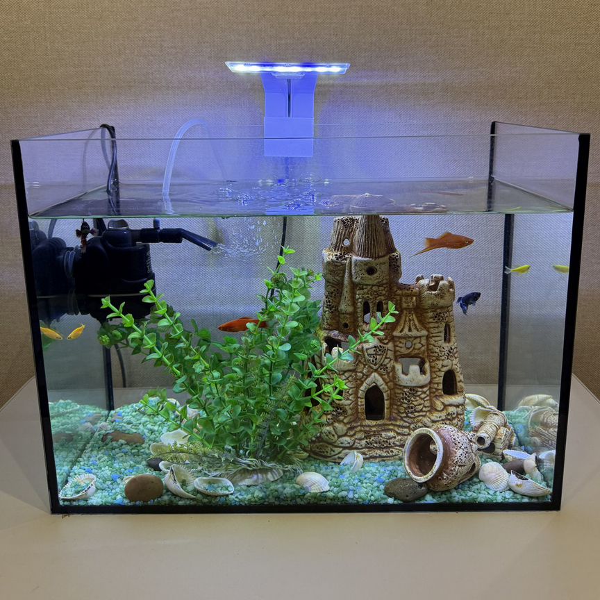 Аквариум с рыбками